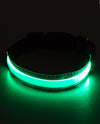LED COLLAR by Cyberdog - Rave clothing, festival fashion & clubwear