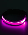 LED COLLAR by Cyberdog - Rave clothing, festival fashion & clubwear