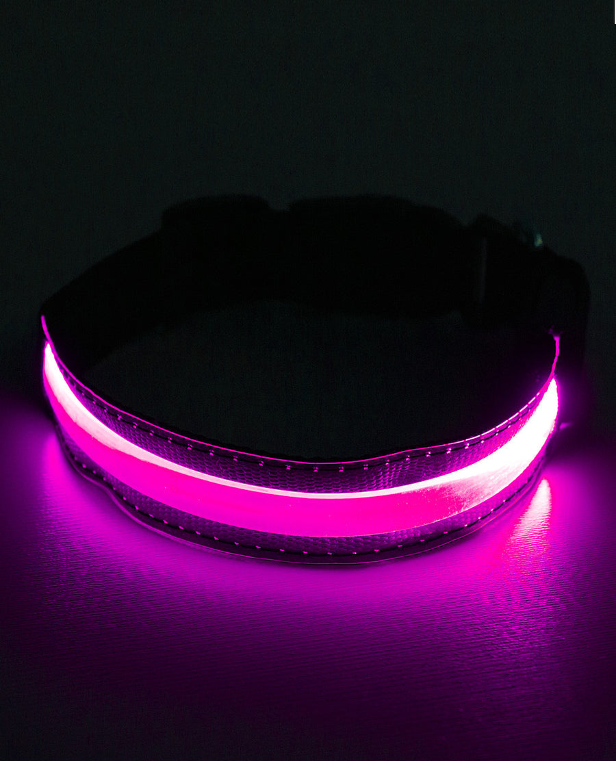 LED COLLAR | FUTURE LOVERS – Cyberdog