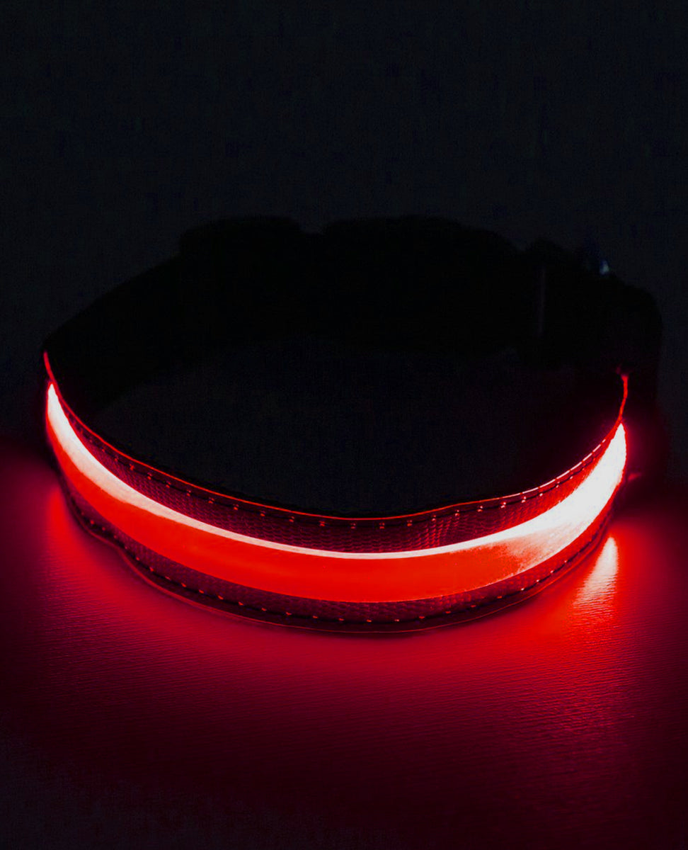 LED COLLAR | Cyberdog London by Cyberdog - Rave clothing, festival ...